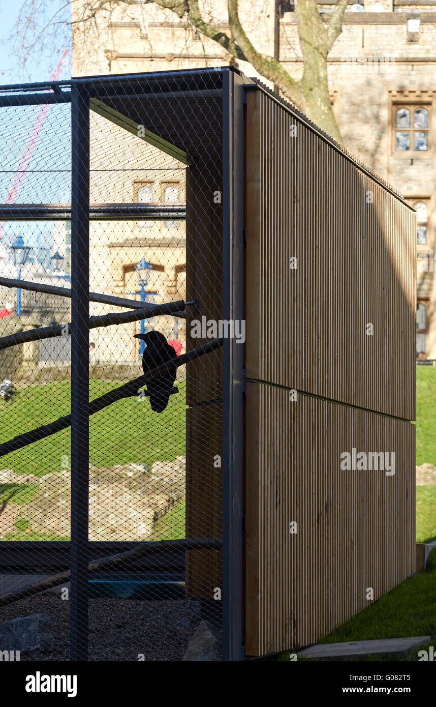 Tower of london raven enclosure hi-res stock photography and images - Alamy