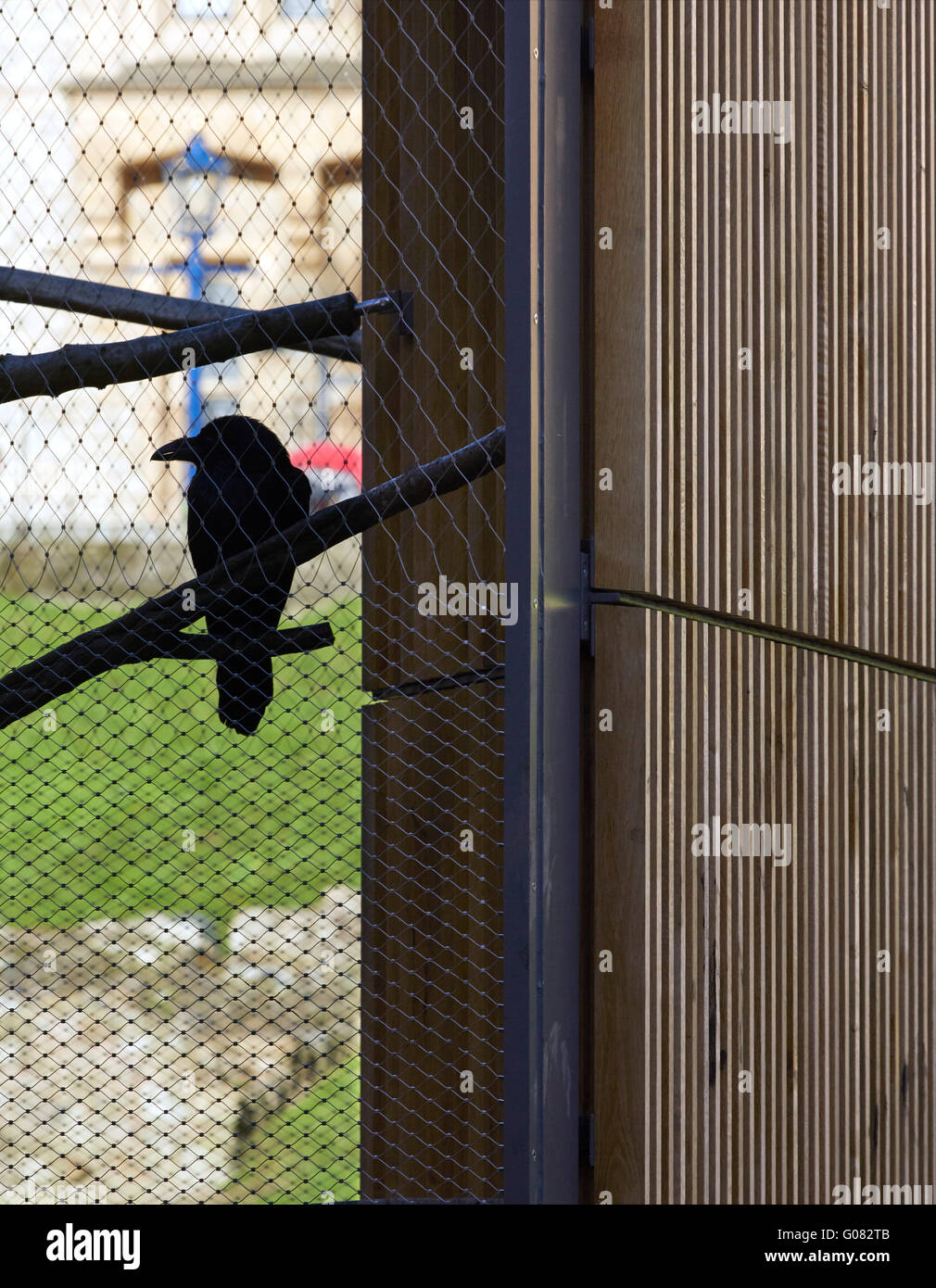 Detail of Raven enclosure from side. Ravens Night Enclosures at Tower ...