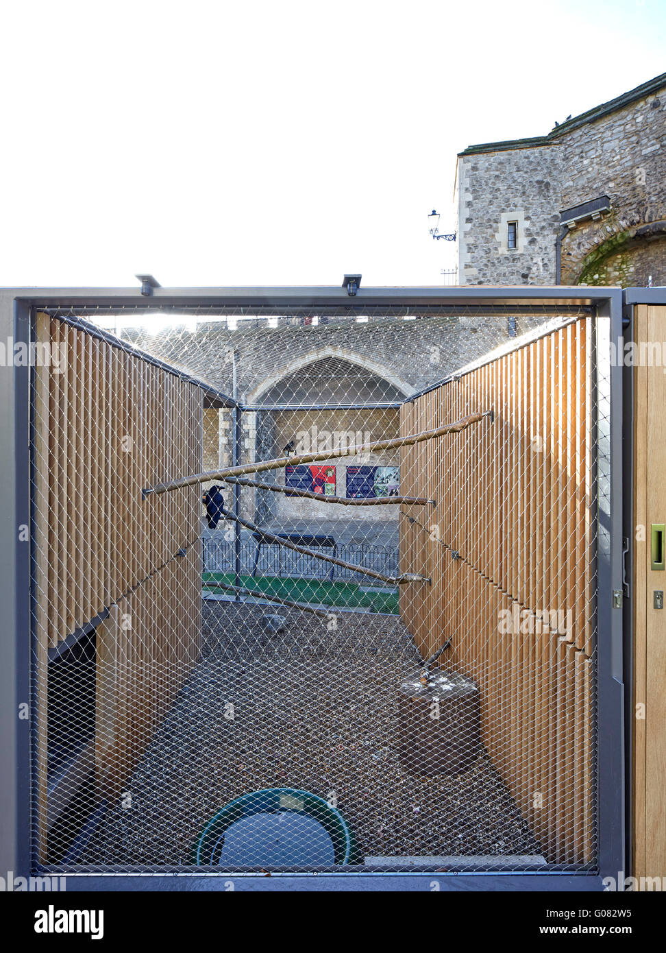 Raven enclosure from rear. Ravens Night Enclosures at Tower of London ...