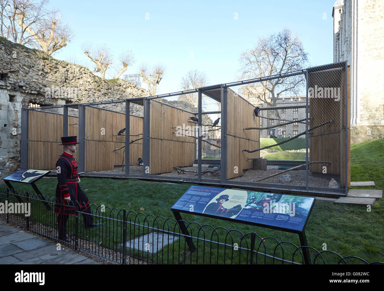 Tower of london raven enclosure hi-res stock photography and images - Alamy