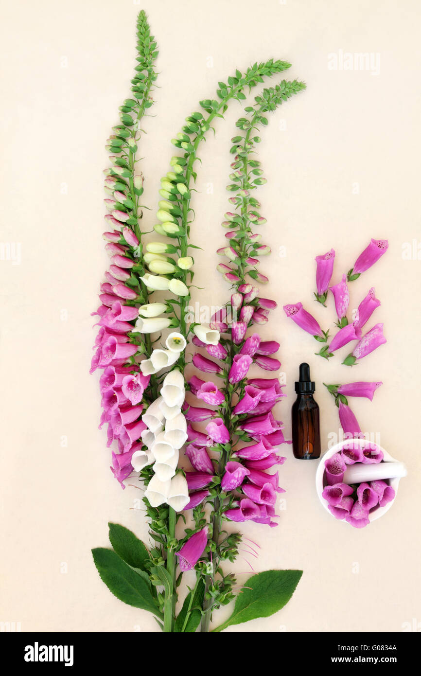 Foxglove Flower Arrangement With Dropper Bottle And Mortar With Pestle