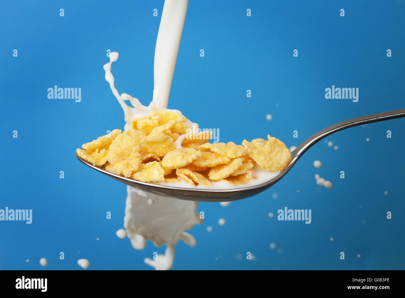 milk splashing into spoon with cornflakes over blu Stock Photo - Alamy