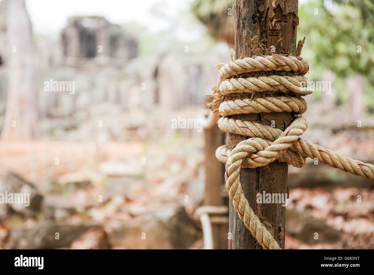 Rope tied in wooden pole in forest background Stock Photo - Alamy