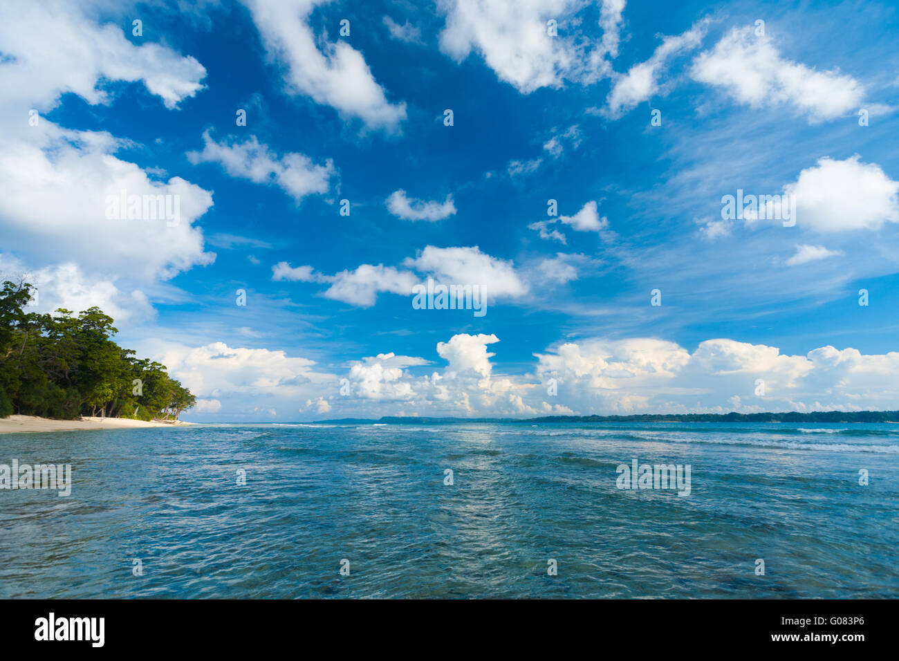 Neil Island Ocean Seascape Forest Beach Edge Wave Stock Photo - Alamy