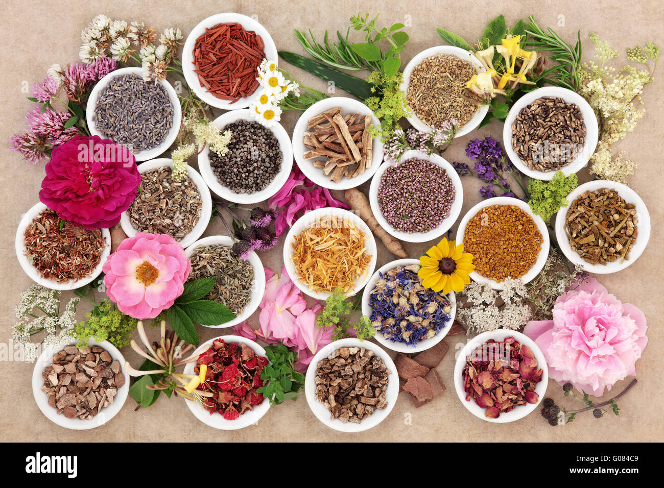Herbal medicine flower hi-res stock photography and images - Alamy