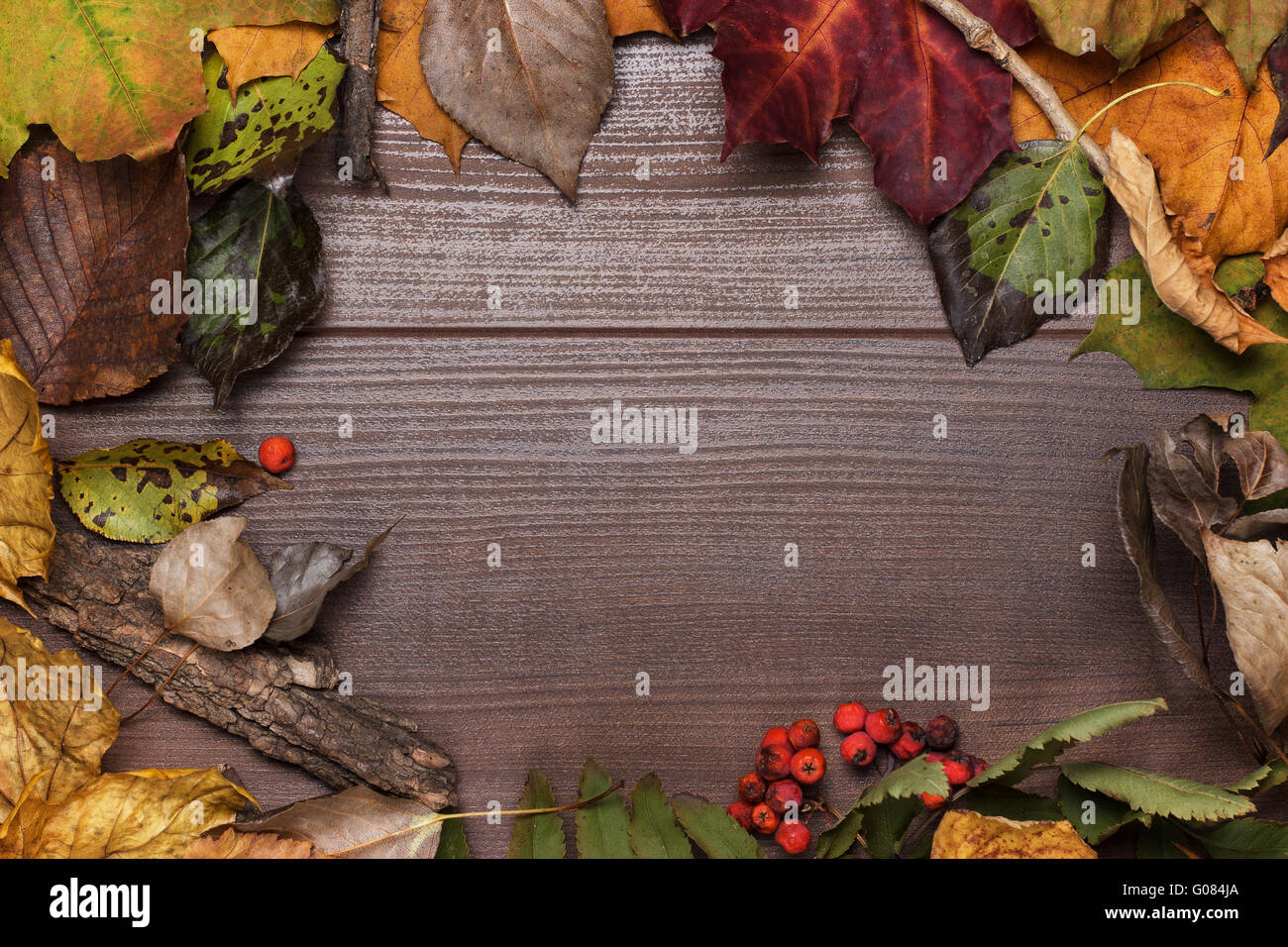 colorful autumn leaves frame on the wooden backgro Stock Photo - Alamy