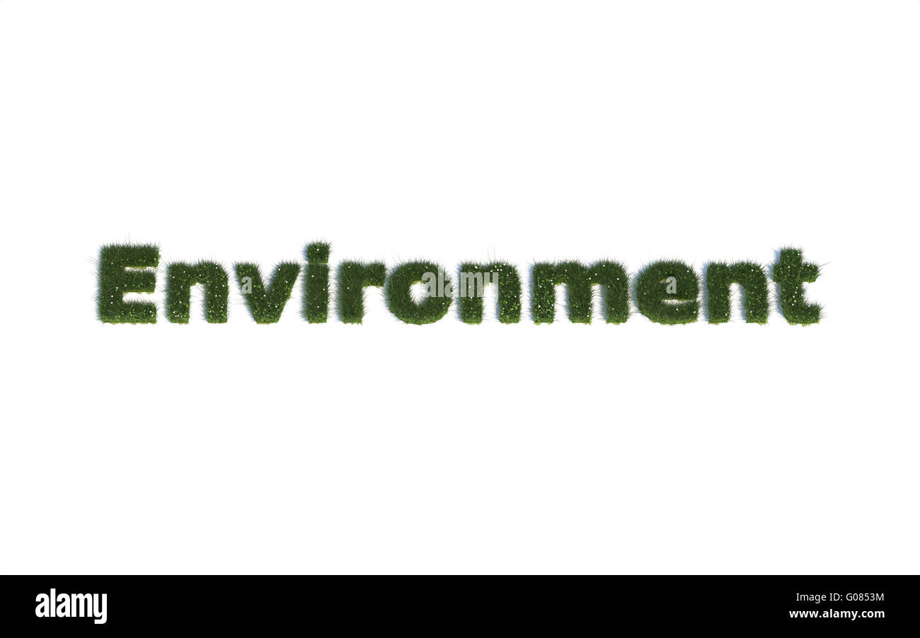 Environment: Series Fonts out of realistic grass Language E Stock Photo ...