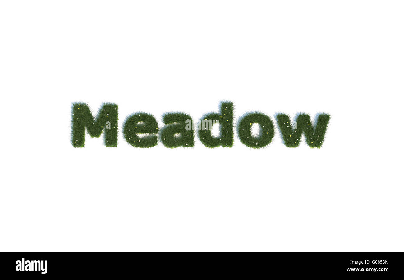 Meadow: Series Fonts out of realistic grass Language E Stock Photo - Alamy