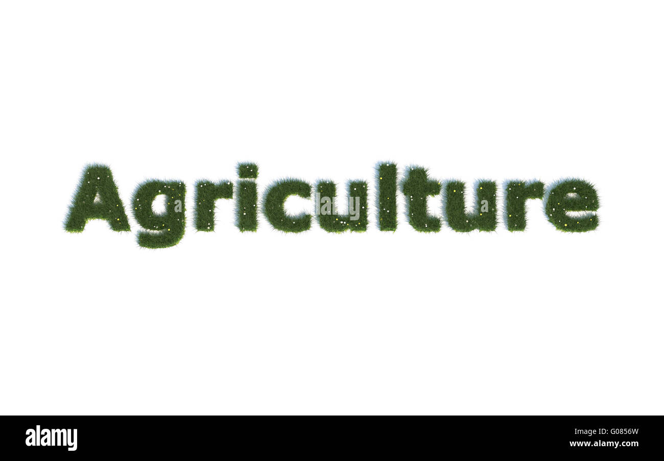 Agriculture: Series Fonts out of realistic grass Language E Stock Photo ...