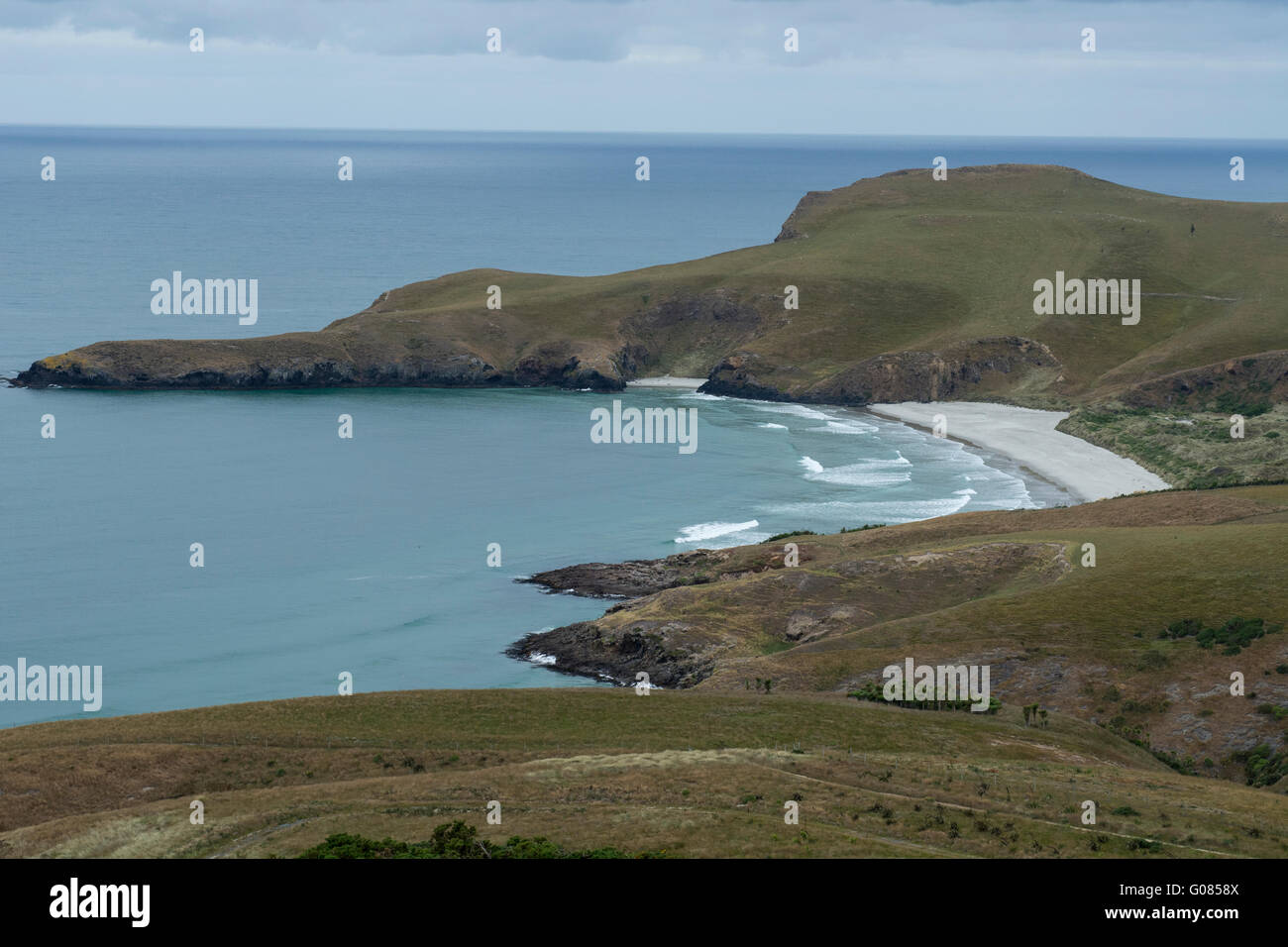 New Zealand, South Island, Dunedin. View of the Otago Peninsula from ...