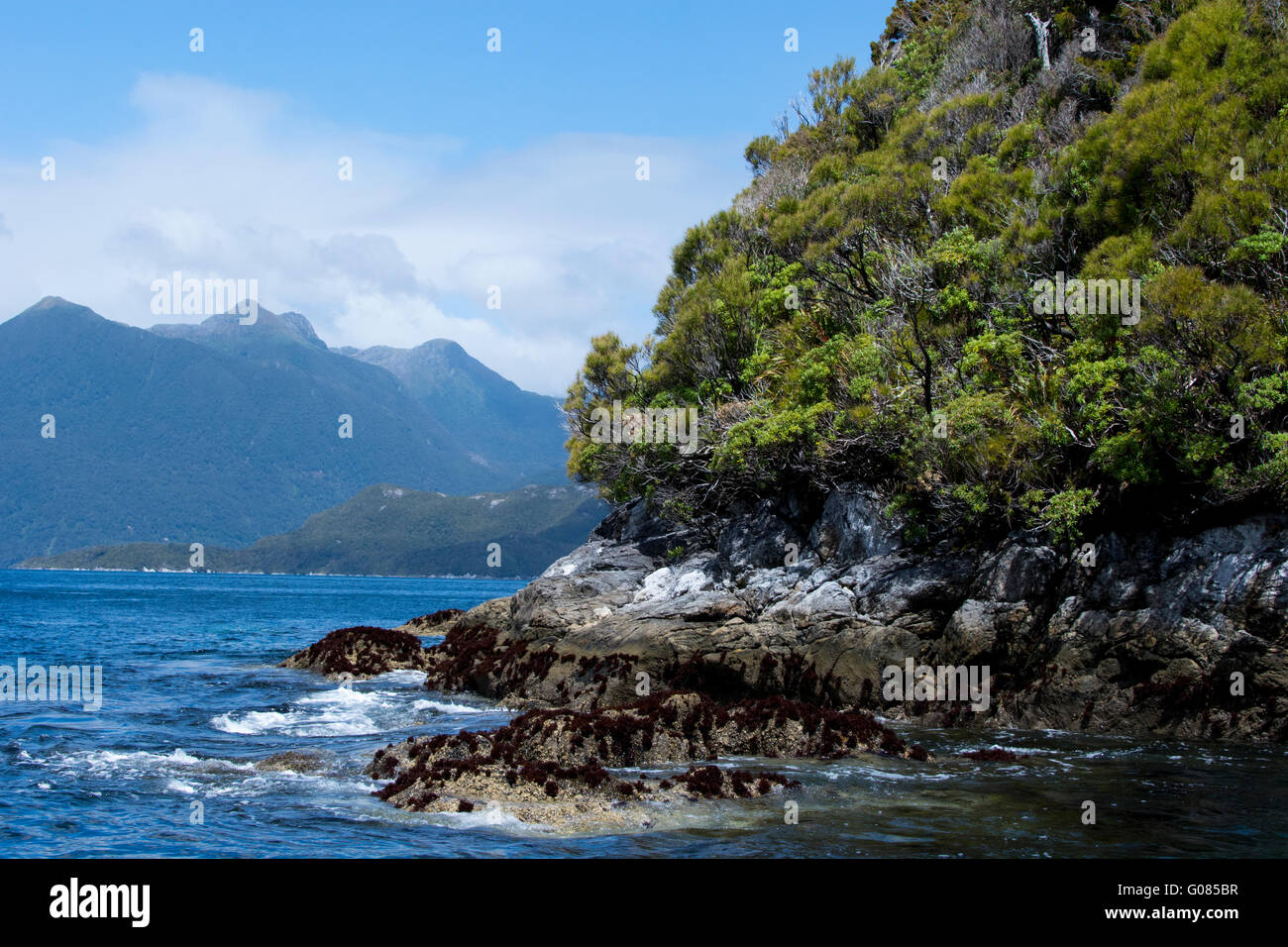 Dusky sound new zealand hi-res stock photography and images - Alamy