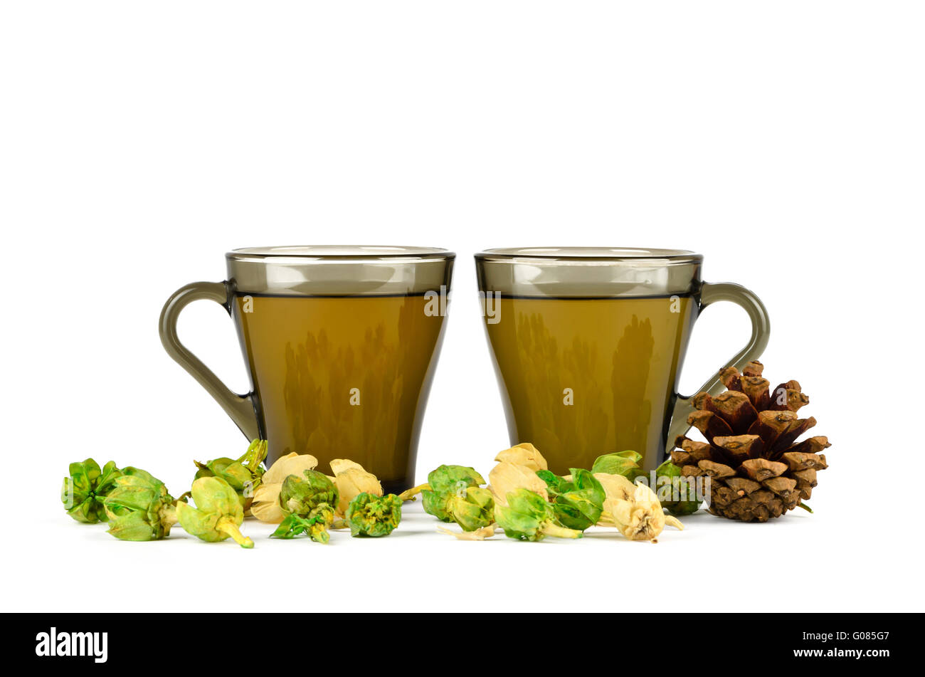 Chinese fir evergreen hi-res stock photography and images - Alamy