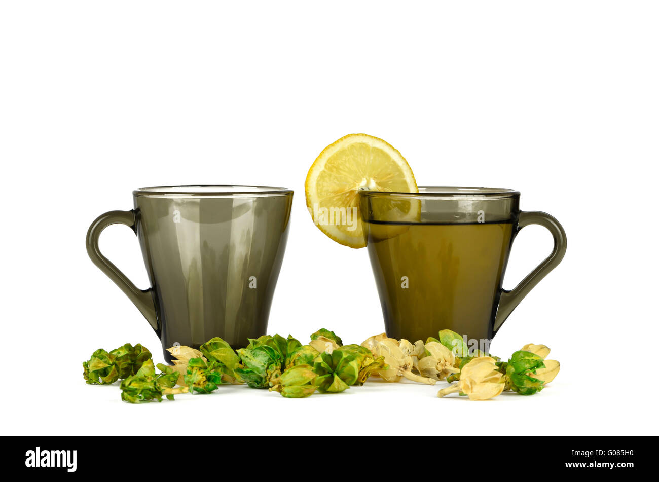 Chinese evergreen plant Cut Out Stock Images & Pictures - Alamy