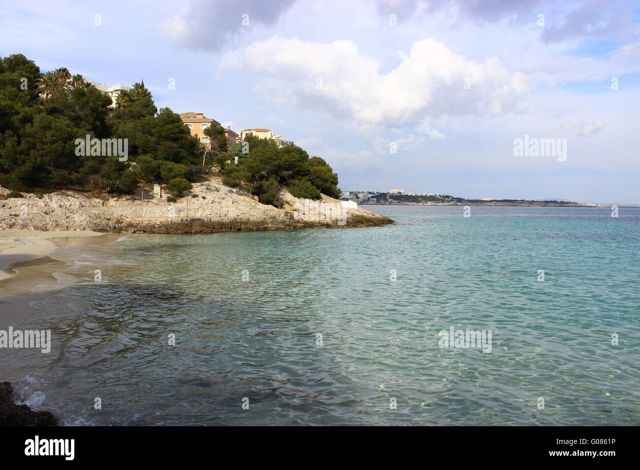 Calla comtessa hi-res stock photography and images - Alamy