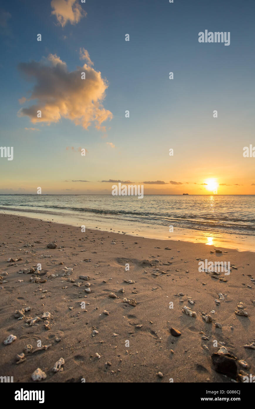 Indonesia beach shells hi-res stock photography and images - Alamy
