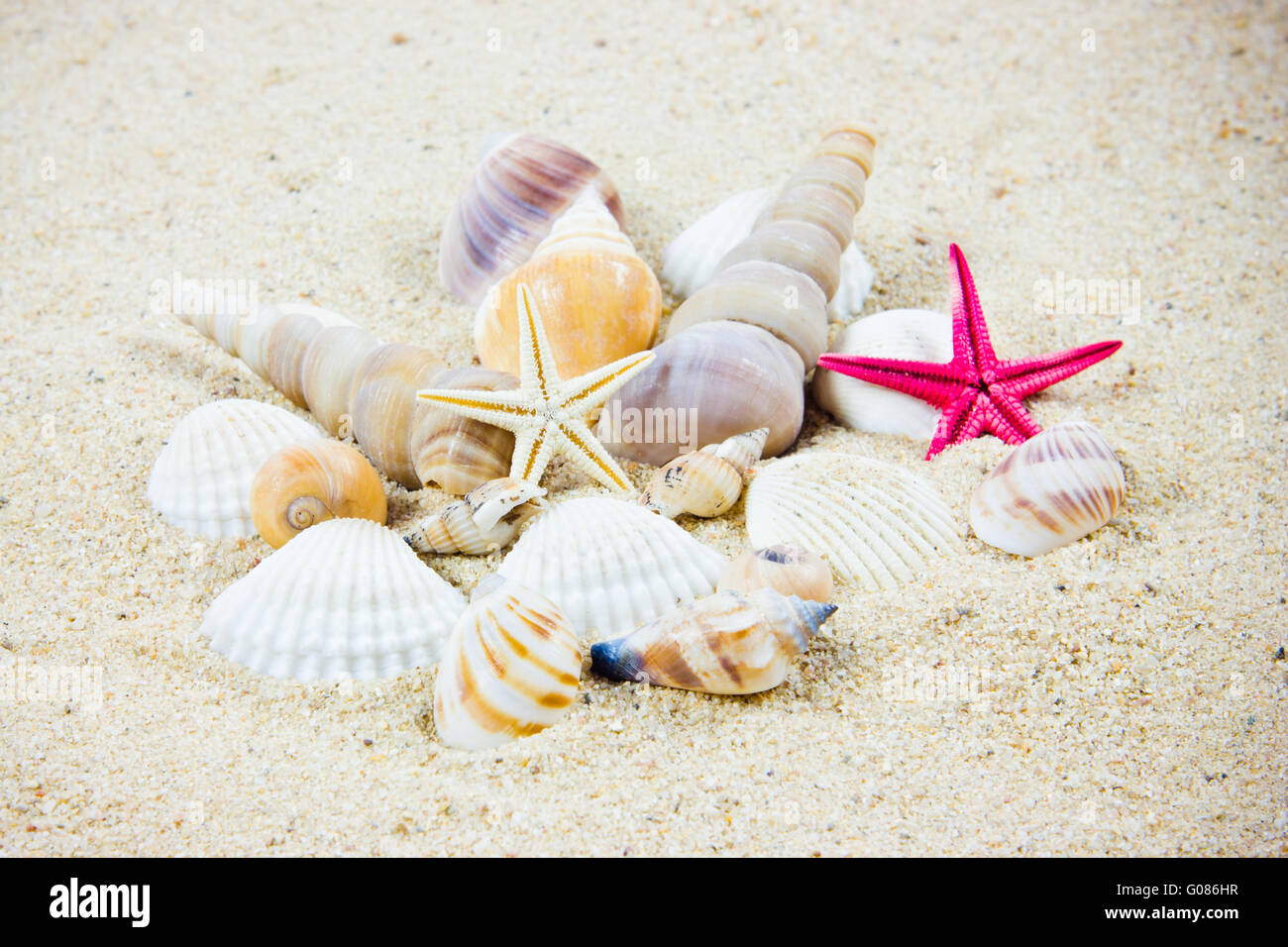 Seafood treasure hi-res stock photography and images - Alamy