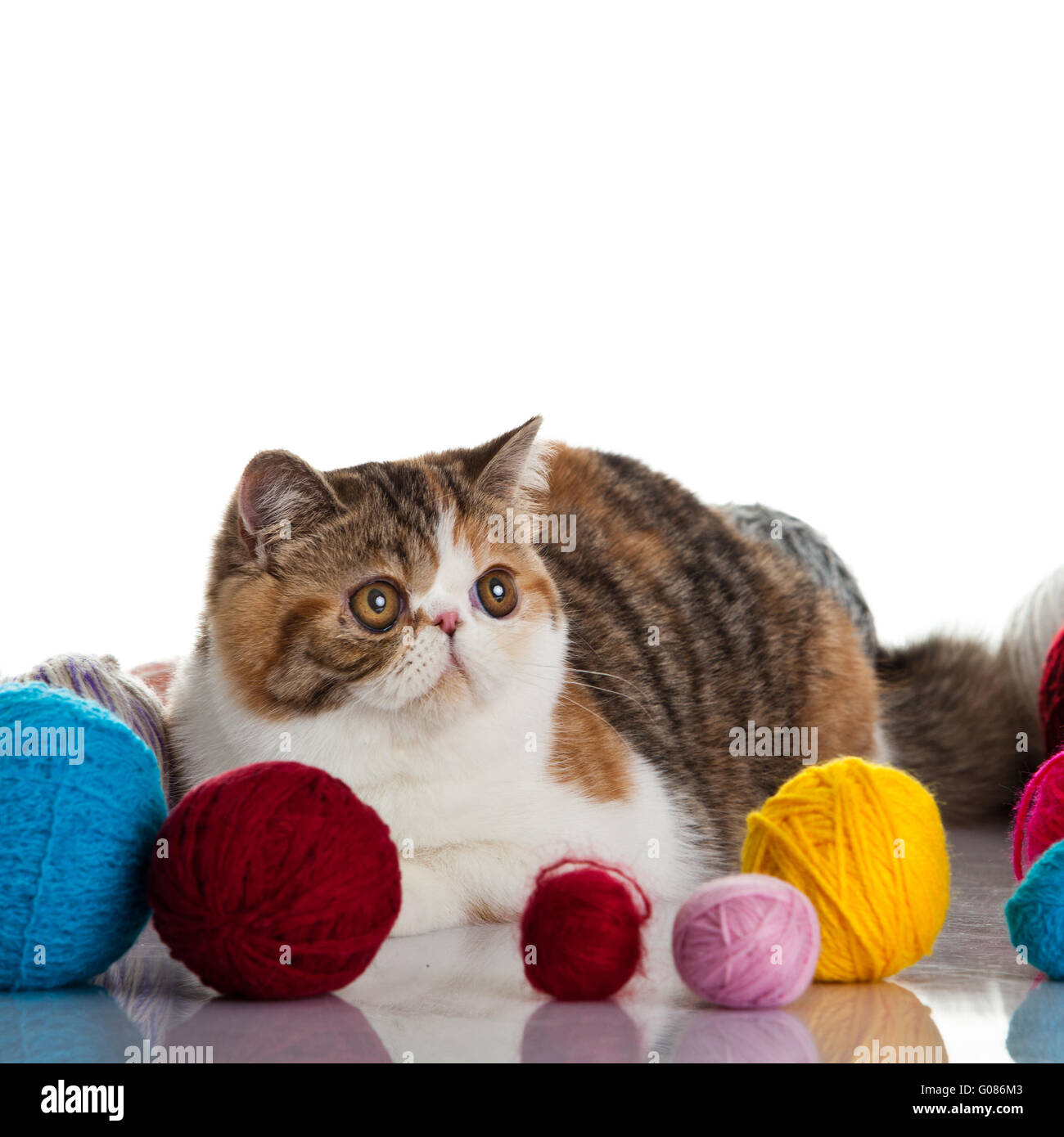 Wools balls hi-res stock photography and images - Alamy