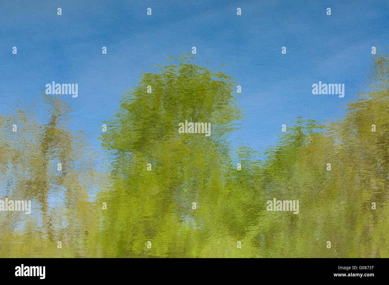 Reflection of trees and sky Stock Photo - Alamy