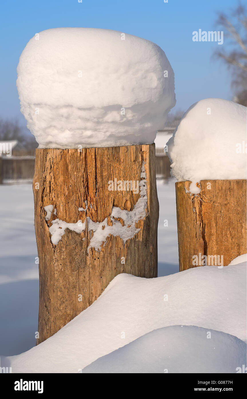 Tree stump covered with snow hi-res stock photography and images - Alamy