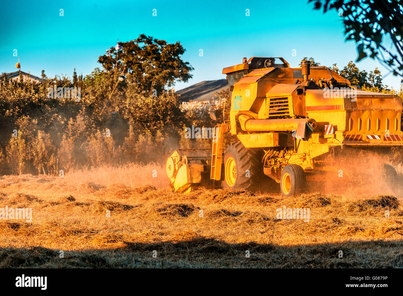 wheat harvest with a modern harvester in Italian countryside Stock ...