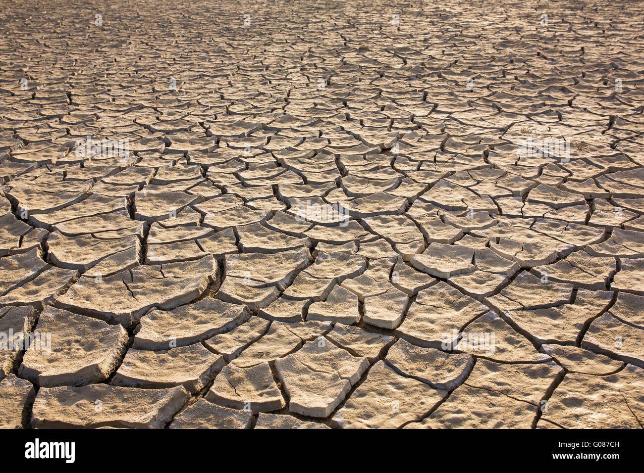 Dry earth cracked hi-res stock photography and images - Alamy