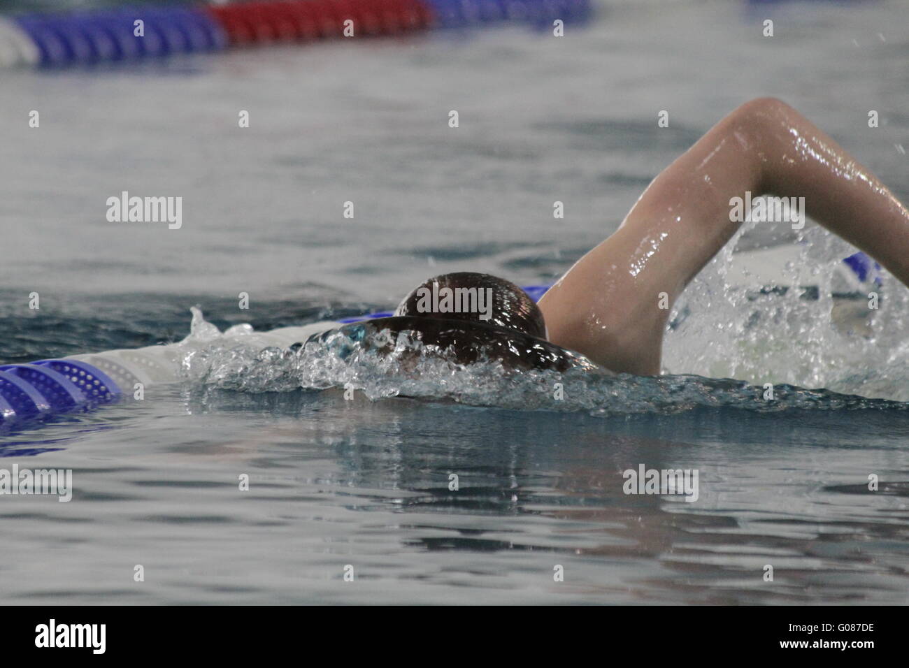 Male swimmer freestyle hi-res stock photography and images - Alamy