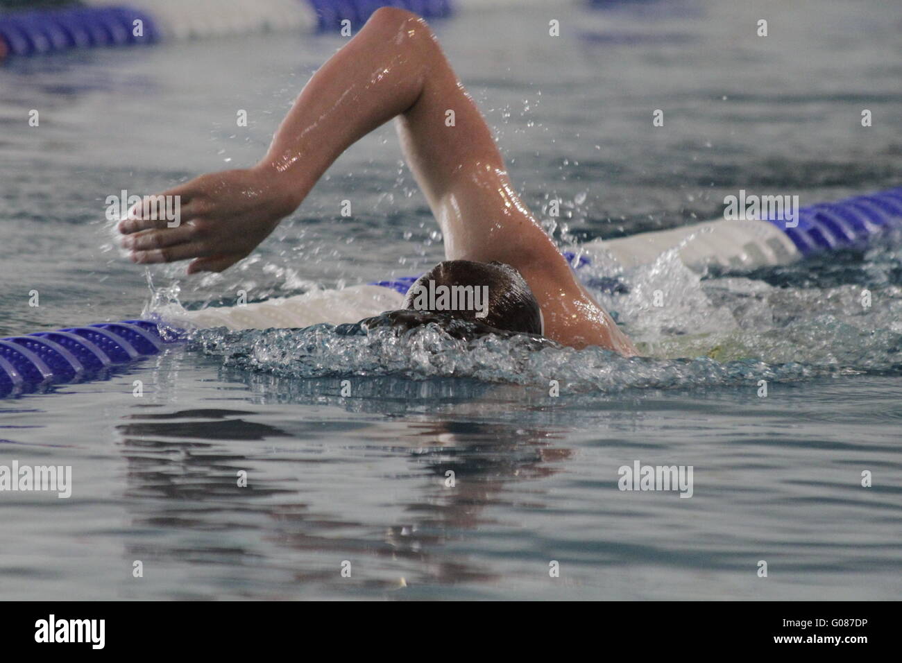Competitive swimming pool hi-res stock photography and images - Alamy