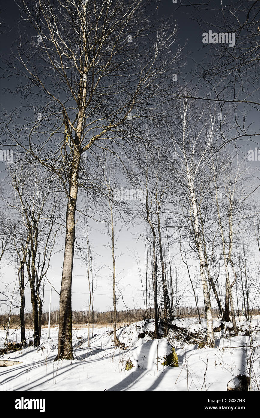 Cold freeze hi-res stock photography and images - Alamy