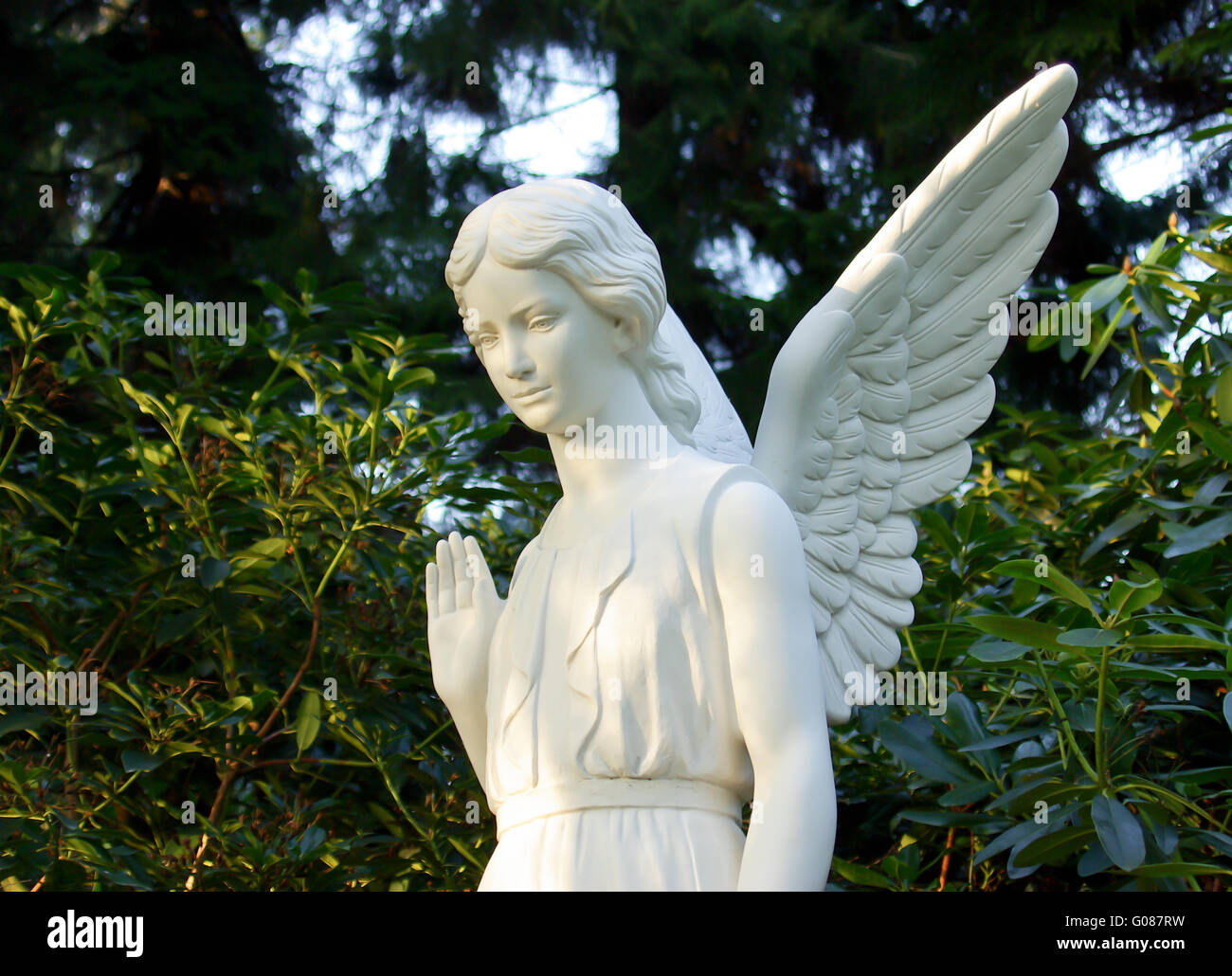 white Angel Statue Stock Photo - Alamy