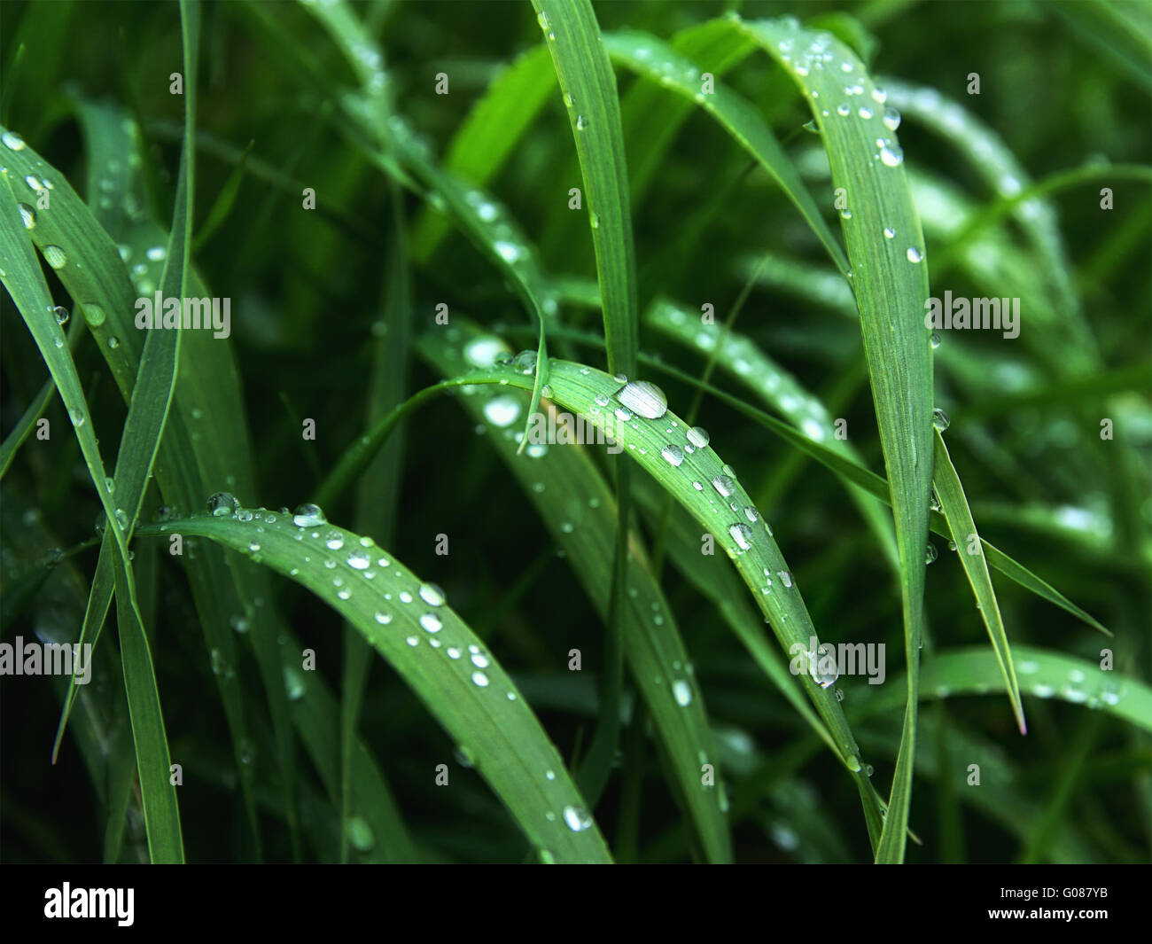 Rainin hi-res stock photography and images - Alamy