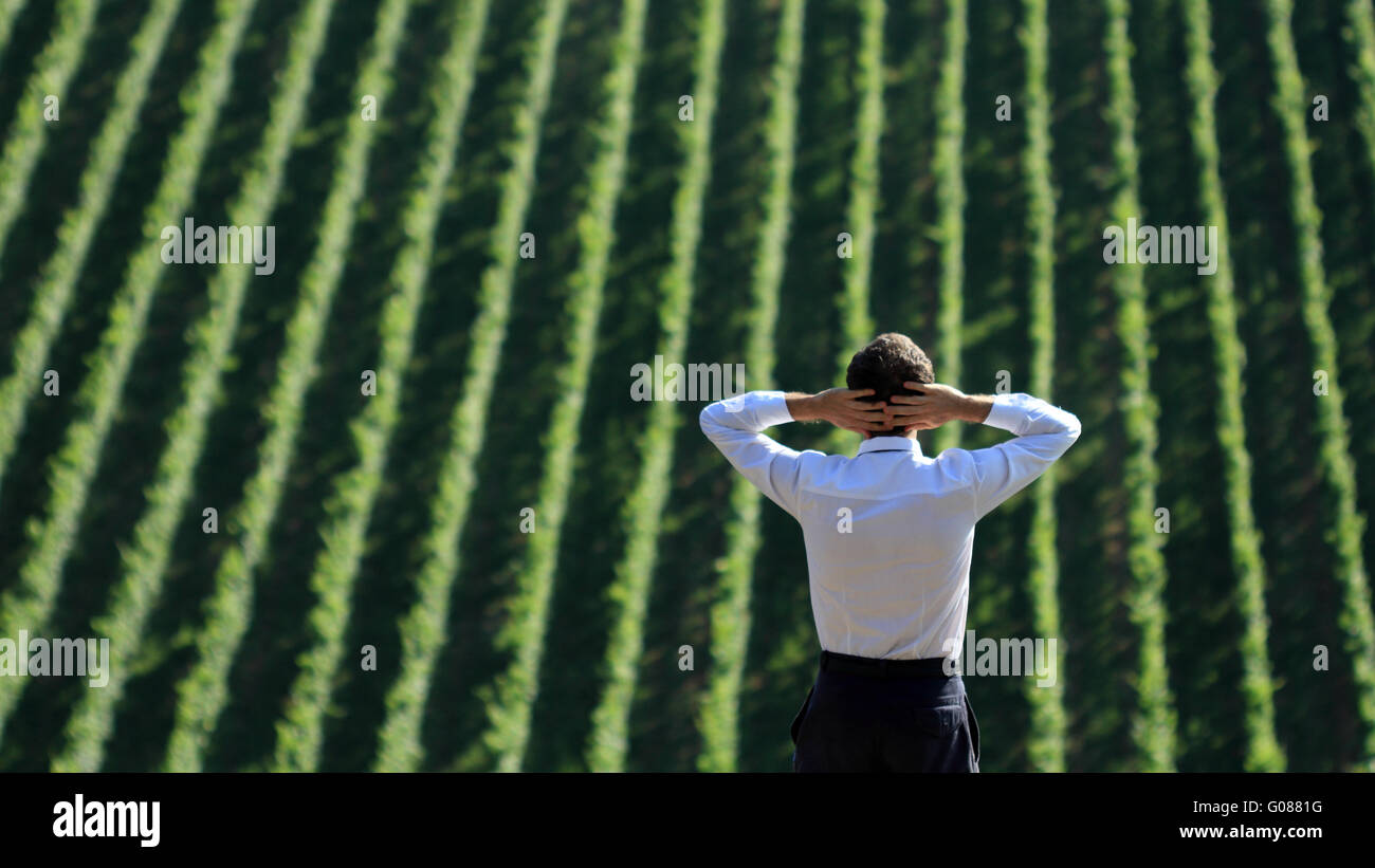 Business and nature concepts Stock Photo - Alamy