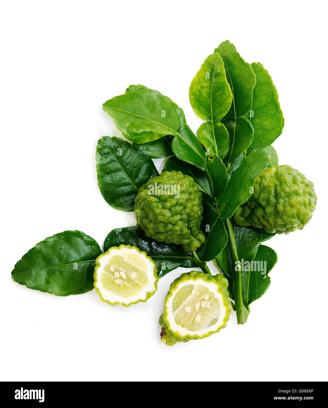 Kafir hi-res stock photography and images - Alamy