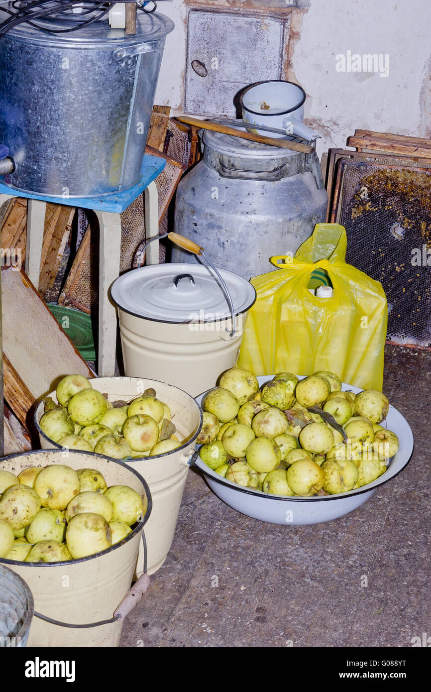 Still life with yellow rotten apples Stock Photo - Alamy