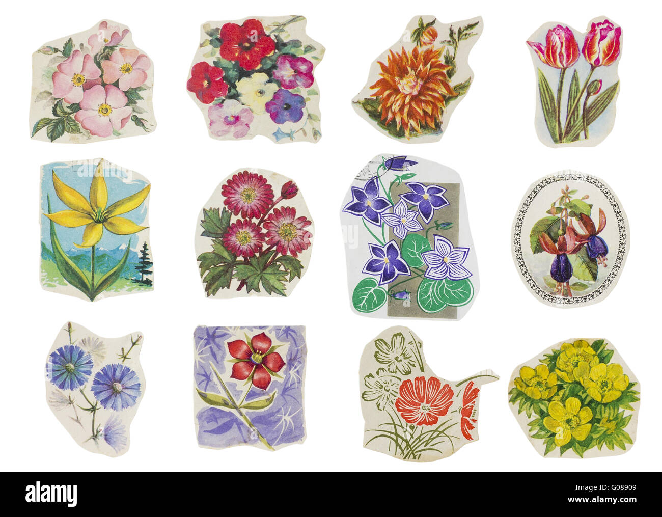 Banners apple Cut Out Stock Images & Pictures - Alamy