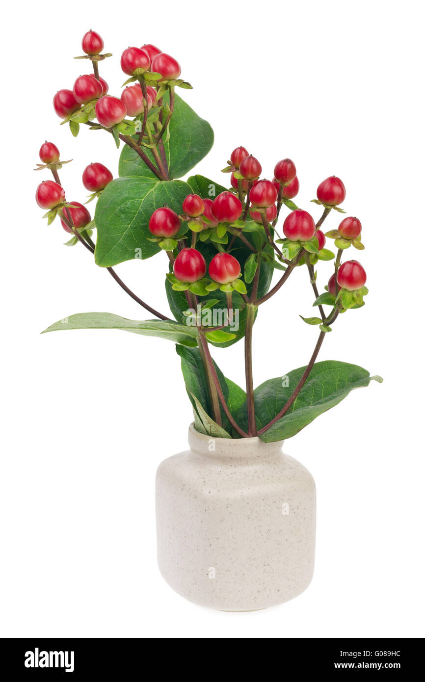 minimalistic bouquet - mini red berries on branches Stock Photo - Alamy
