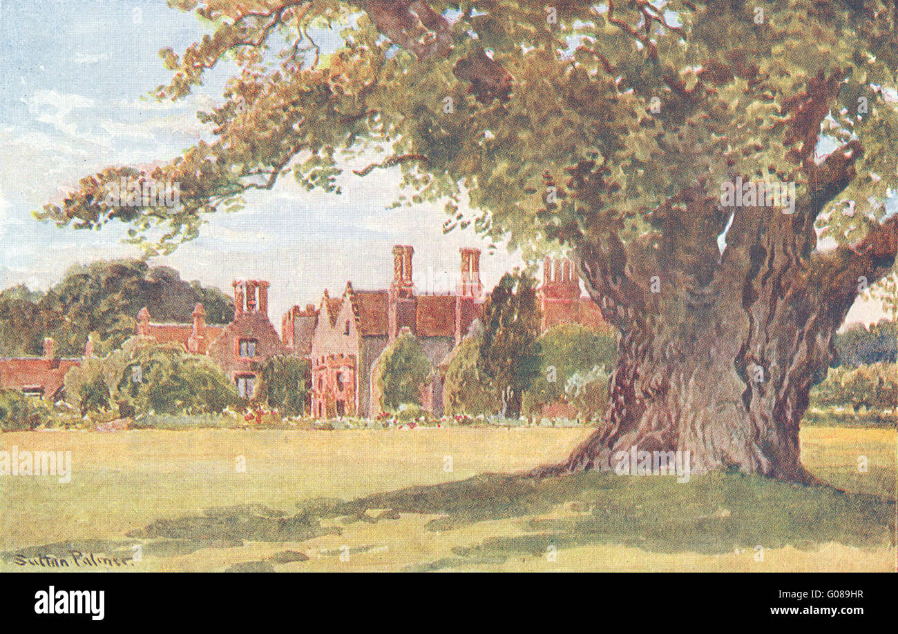 Queen Elizabeth Oak High Resolution Stock Photography and Images - Alamy