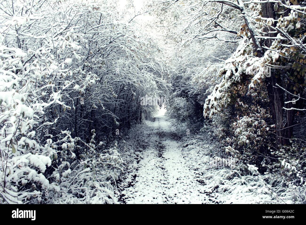 Winter is coming Stock Photo - Alamy