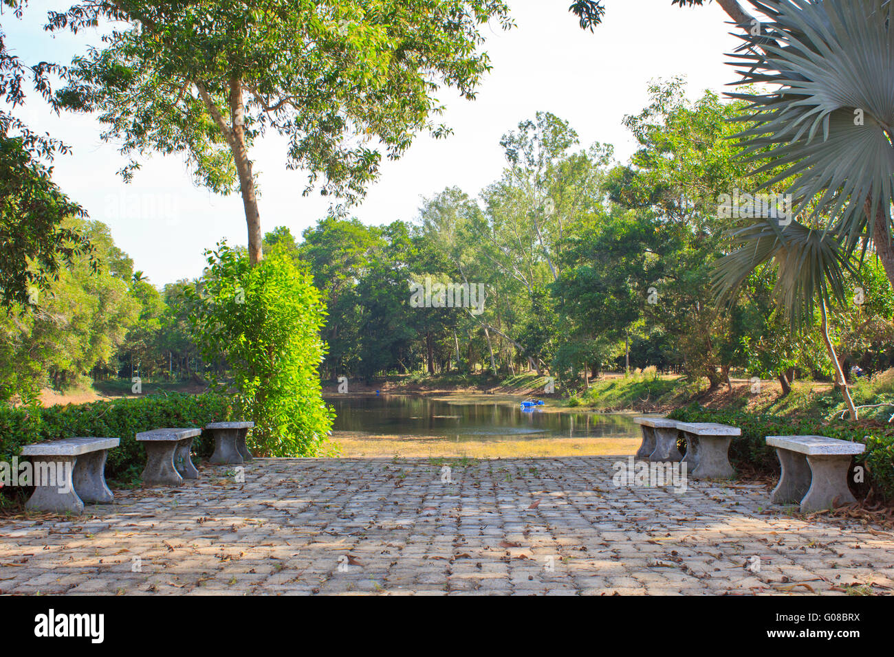 Swamp yard hi-res stock photography and images - Alamy
