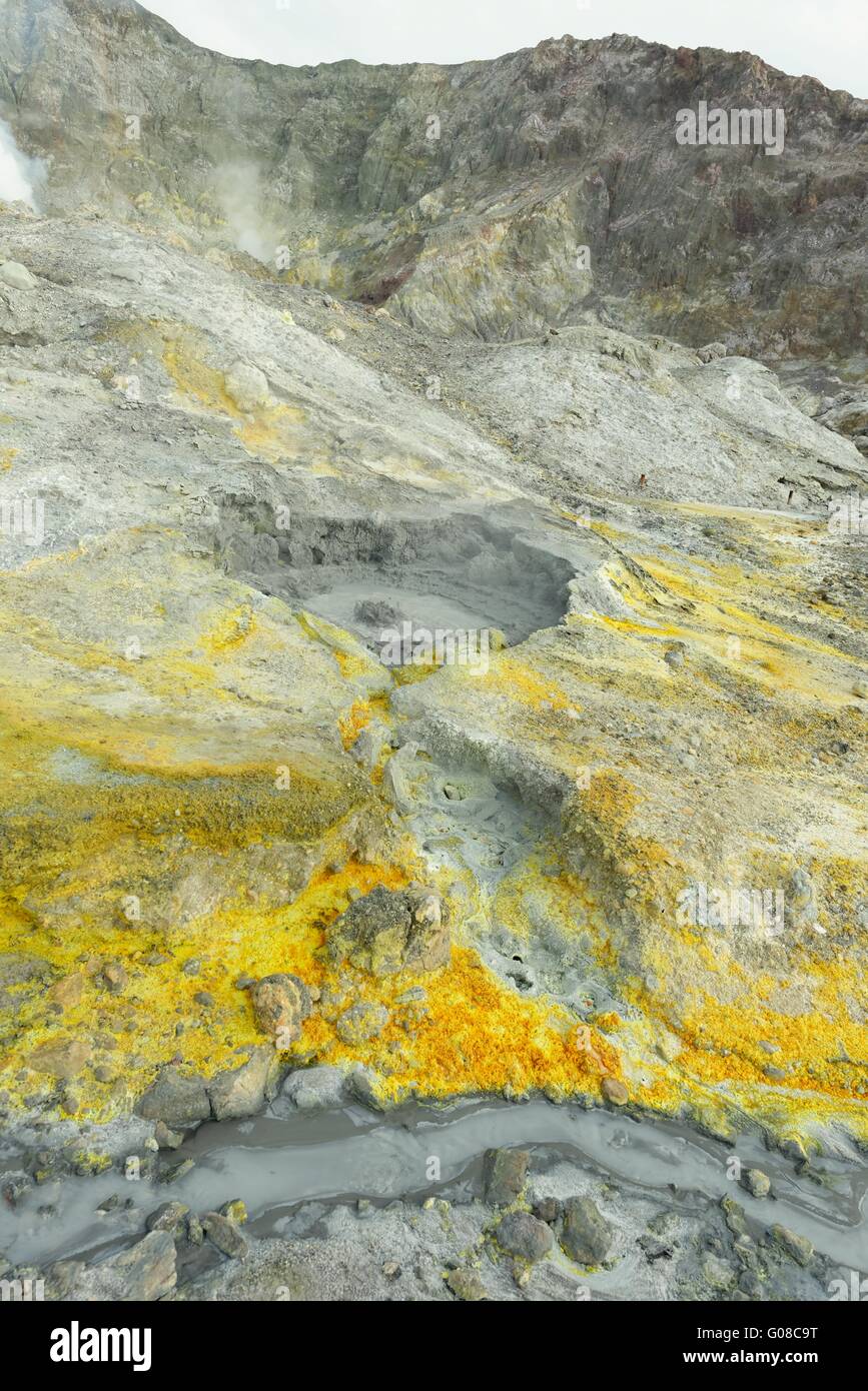 Moturua island hi-res stock photography and images - Alamy