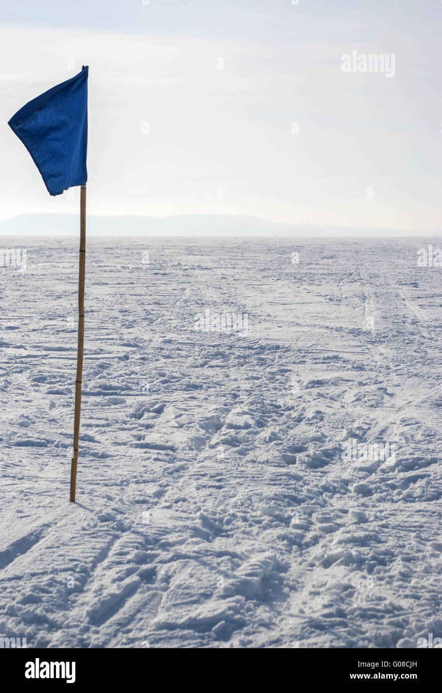 Beauty in motion hi-res stock photography and images - Alamy