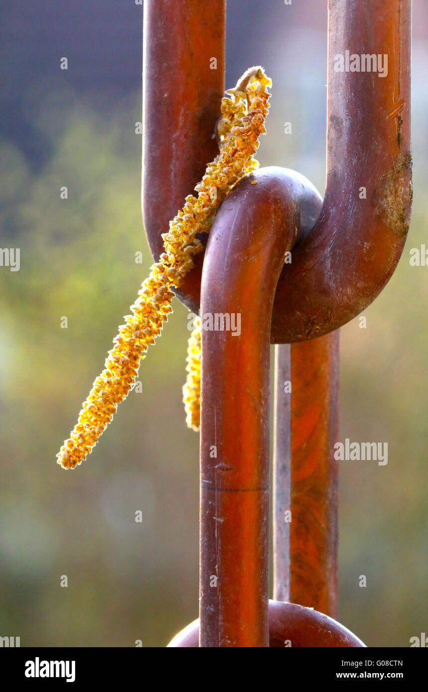 Plastic rain chain hi-res stock photography and images - Alamy