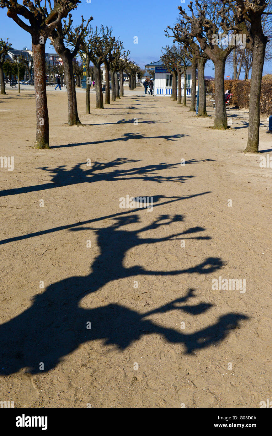 Usedom seaside resort ahlbeck hi-res stock photography and images - Alamy