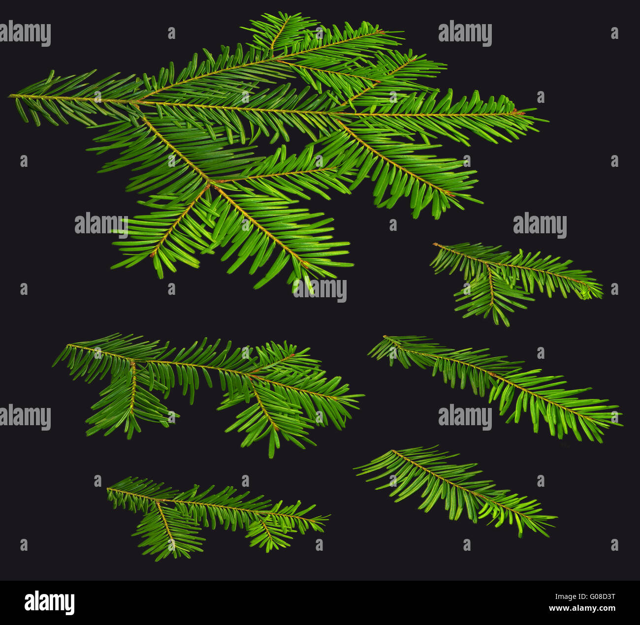 Perspectively hi-res stock photography and images - Alamy