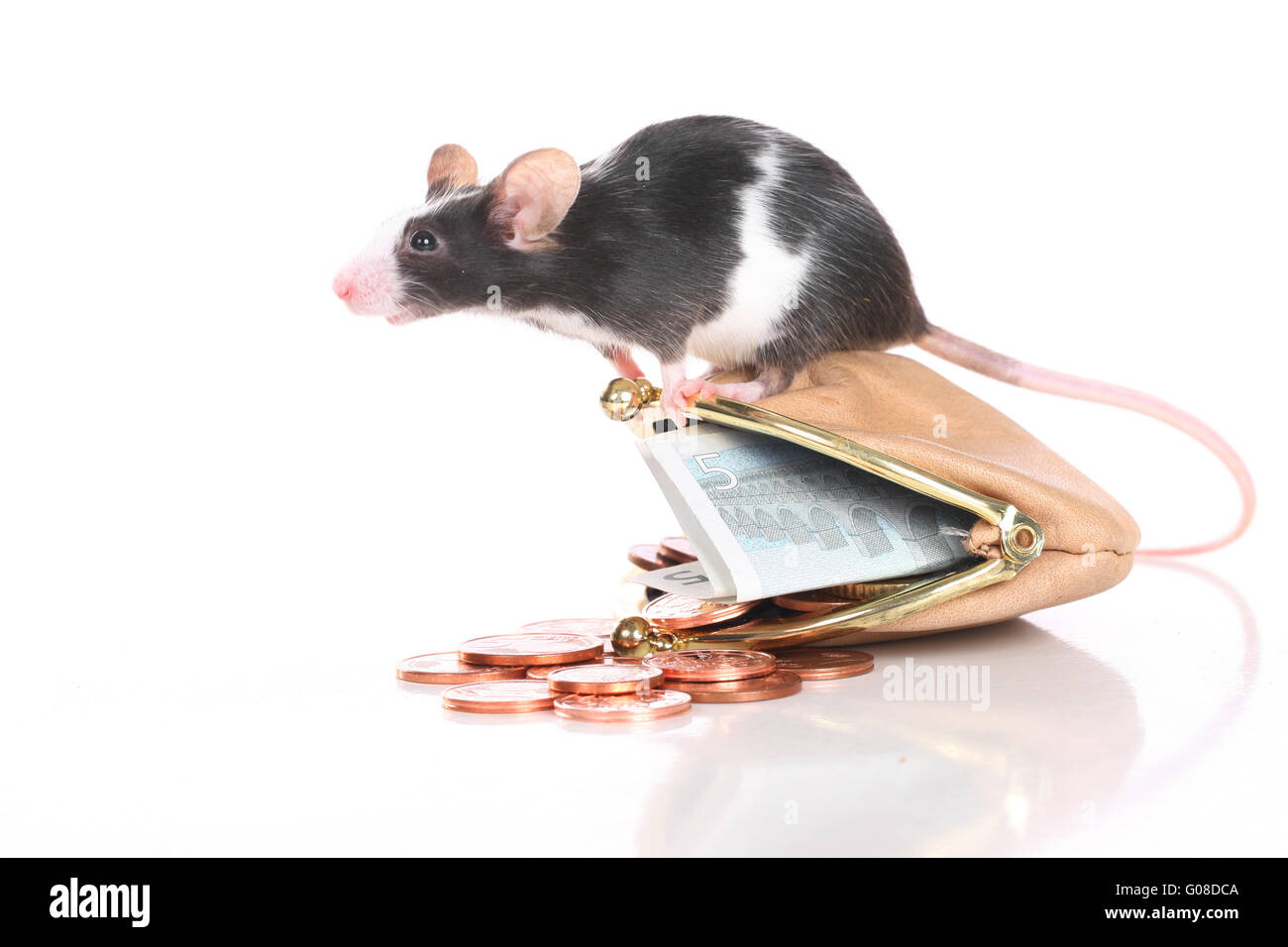 Money spend hi-res stock photography and images - Alamy