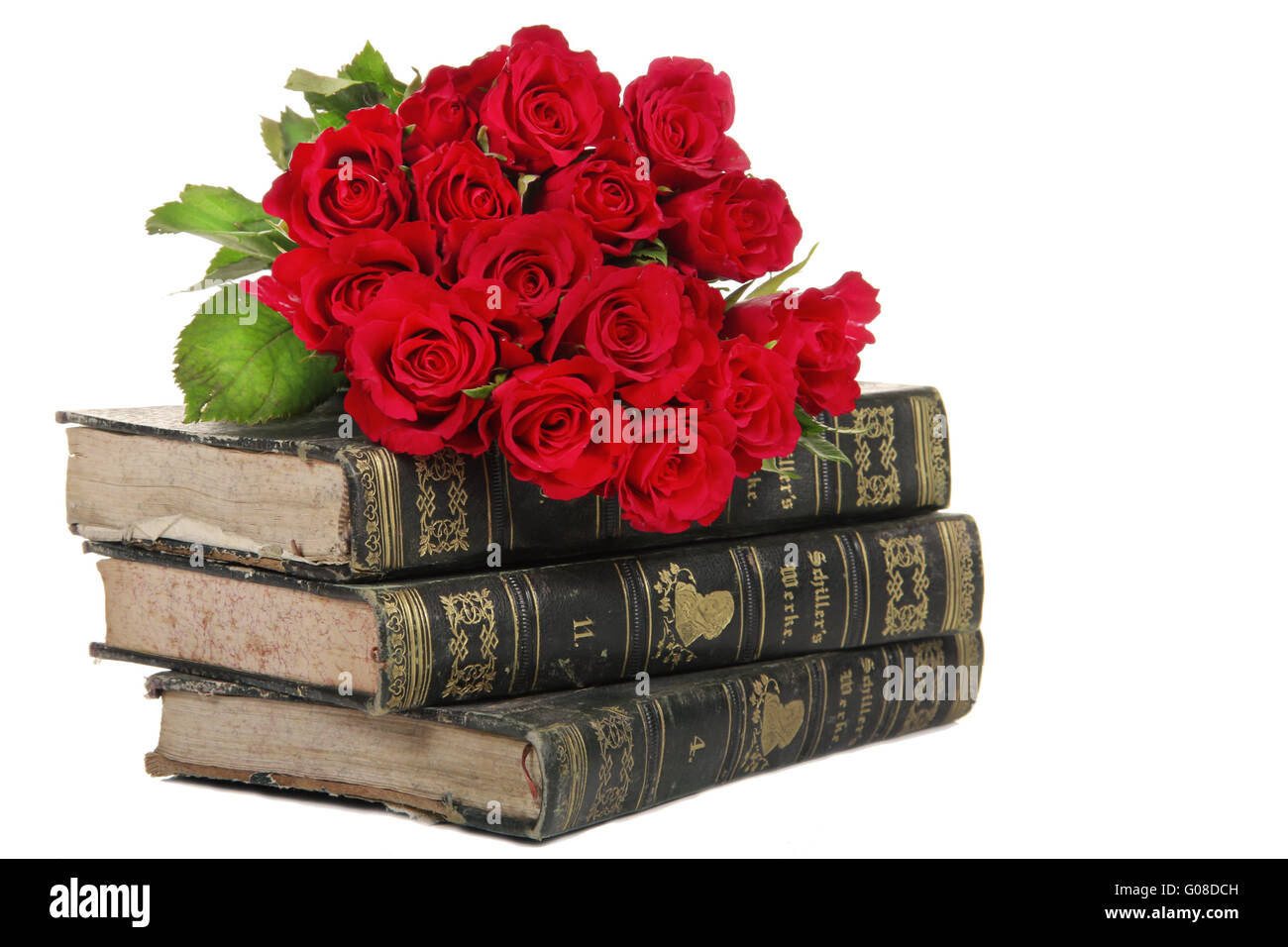 Bunch of old red roses hi-res stock photography and images - Alamy