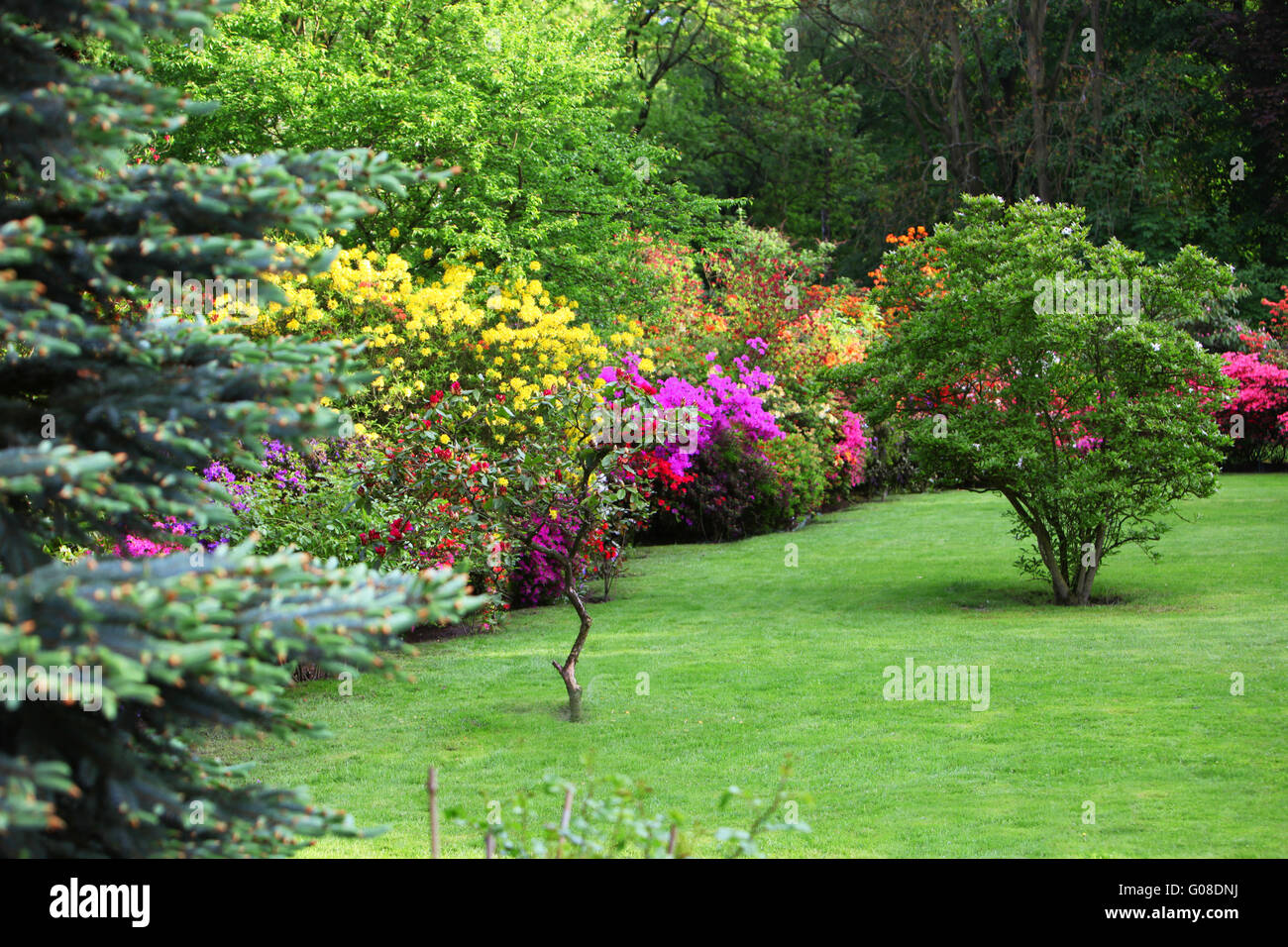 Flowering Shrubs In The Garden at Jeffery Knight blog