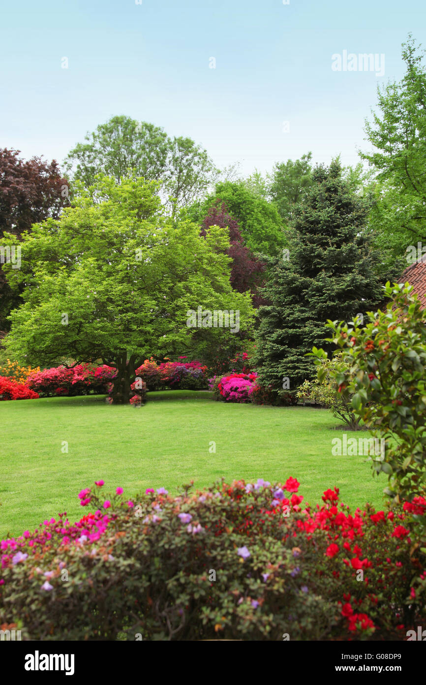 Blooms gardening hi-res stock photography and images - Alamy