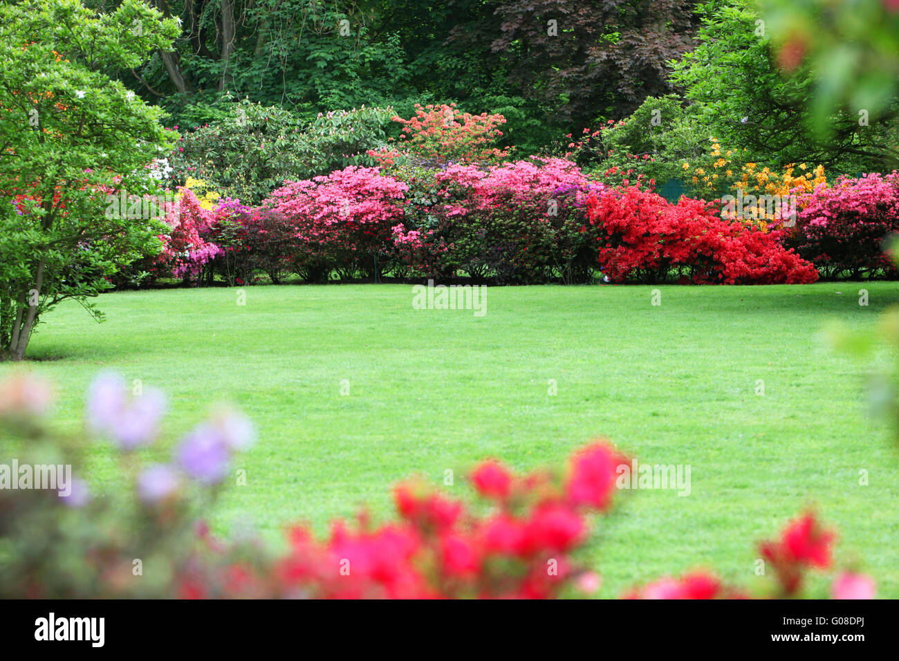 Beautiful garden with flowering shrubs Stock Photo - Alamy
