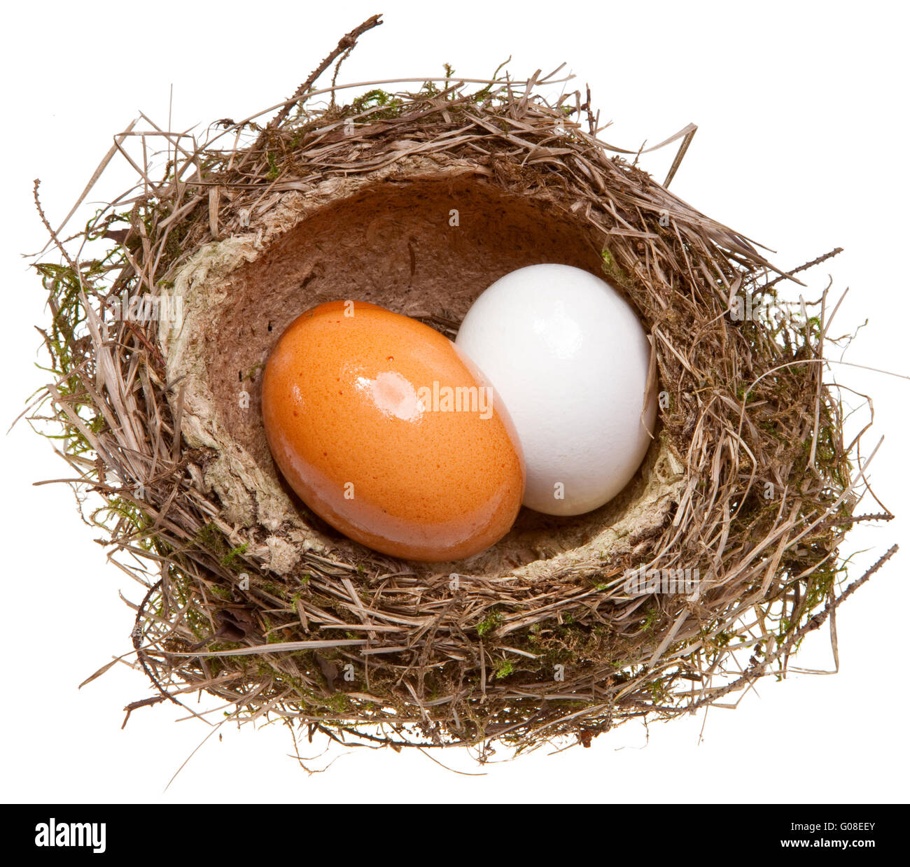 birds nest with eggs inside, isolated on white Stock Photo - Alamy