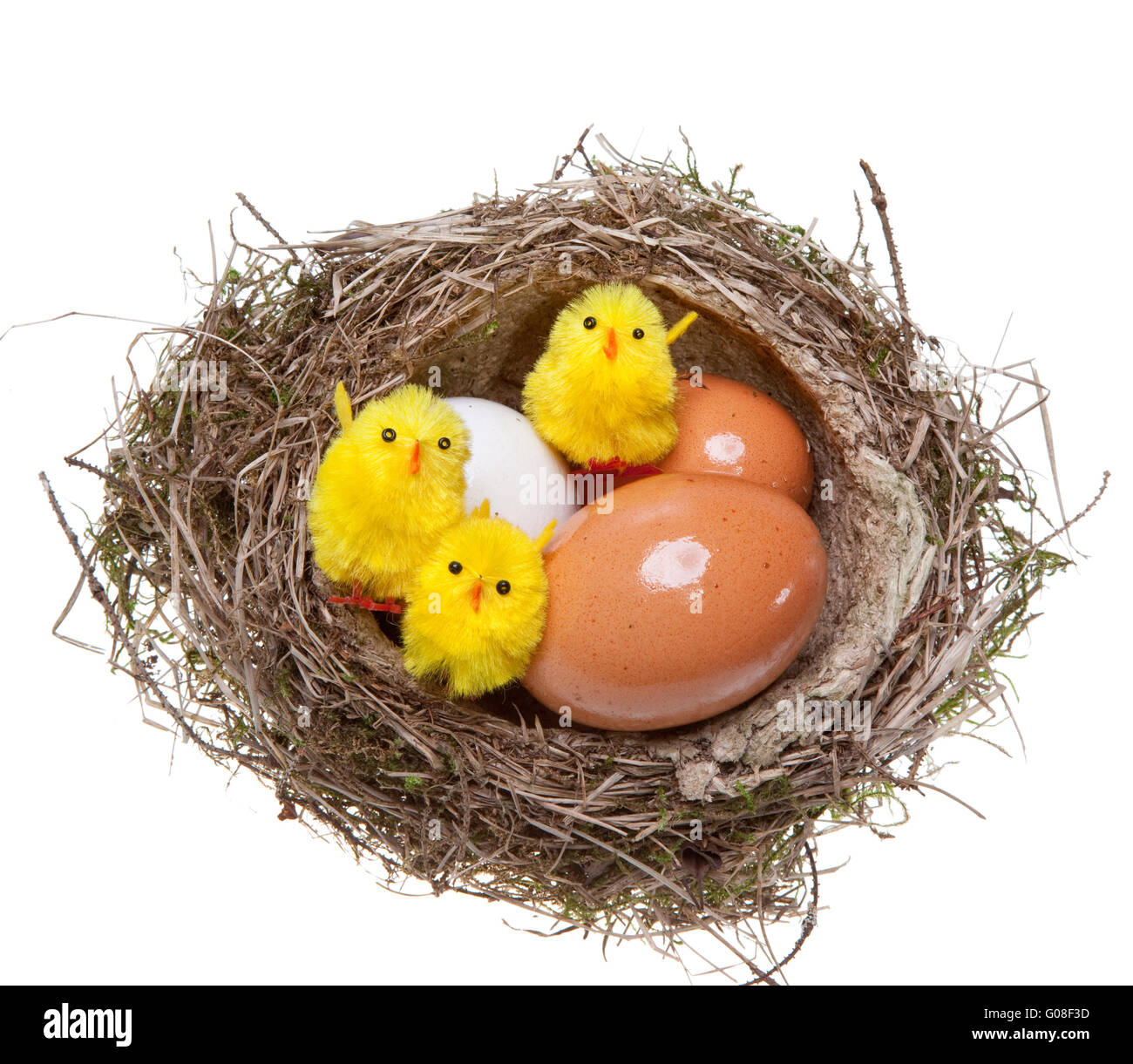 birds nest with eggs and toy chickens inside Stock Photo - Alamy